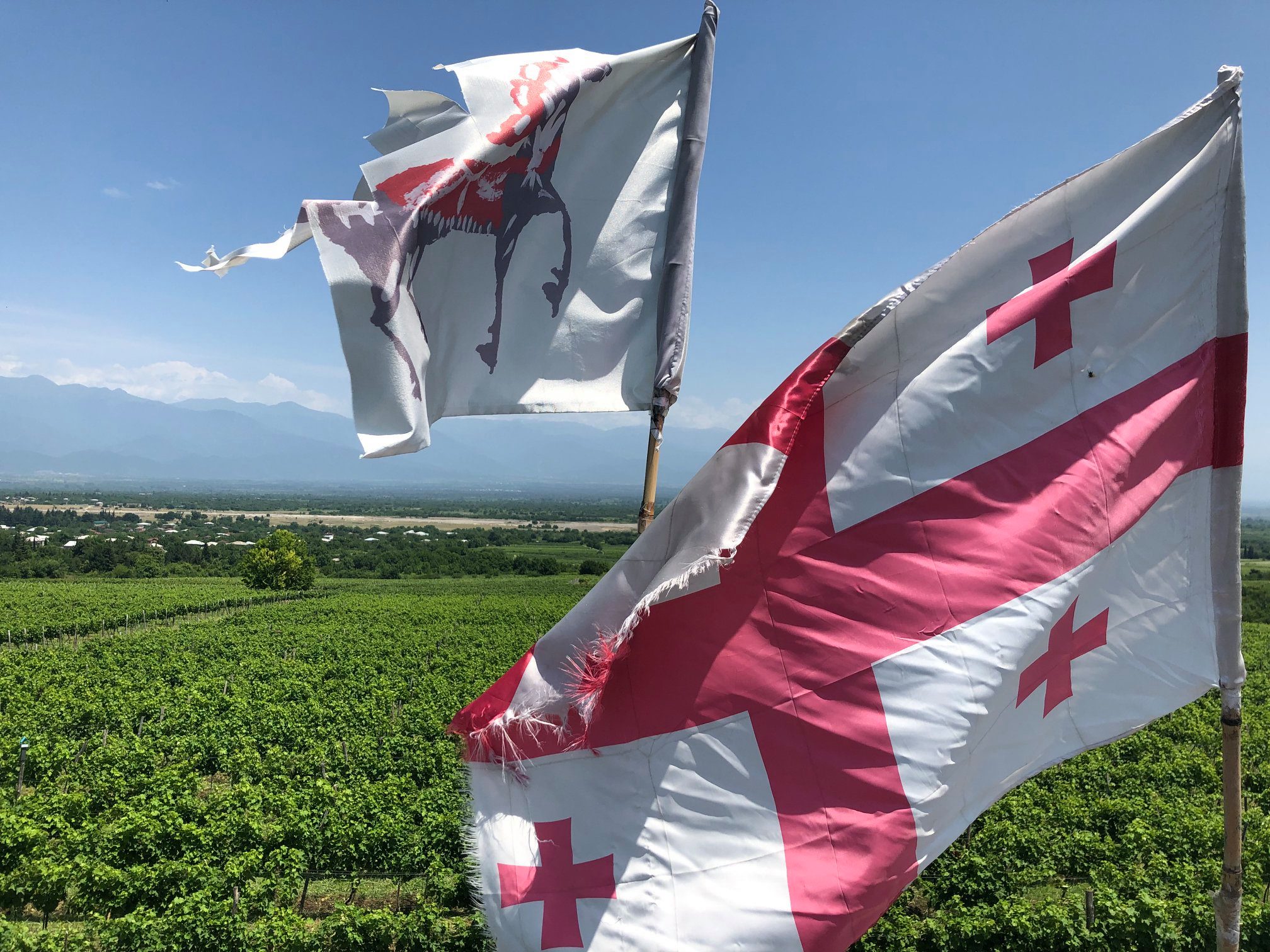 Papari Valley 3 Terraces Saperavi 2019 | Georgian wine | Drinkrituals.com